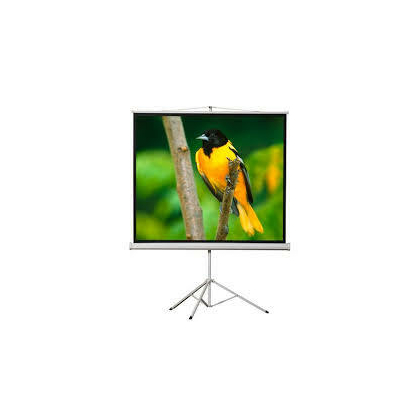 Map Type Projector Screen 4x6 feet